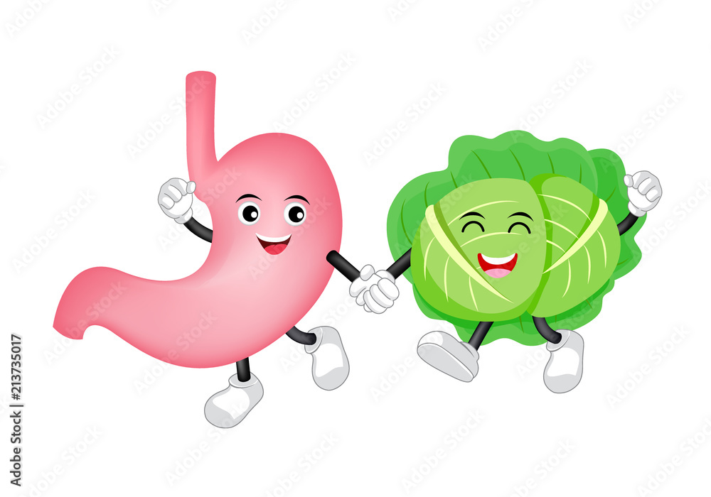 Happy healthy stomach character with cabbage. Cute cartoon holding ...