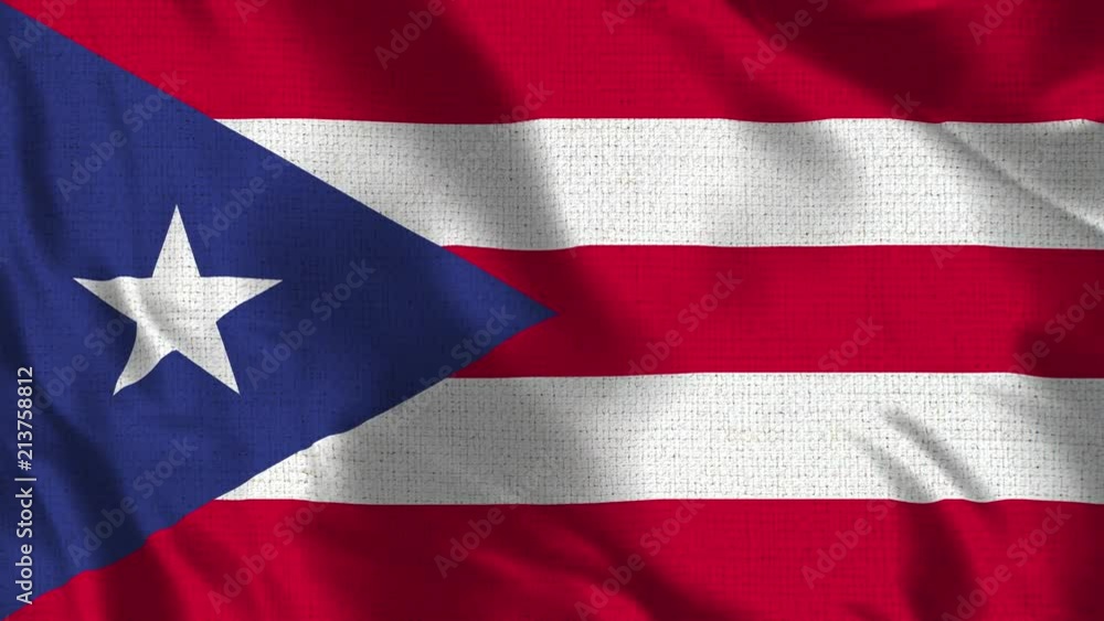 Puerto Rico Flag - Realistic 4K - 60 fps flag of the Puerto Rico waving ...