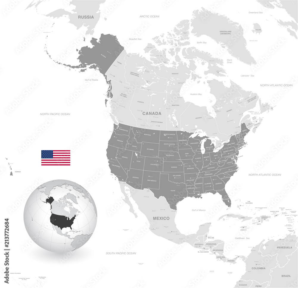 Grey Vector Political Map of the USA Stock Vector | Adobe Stock