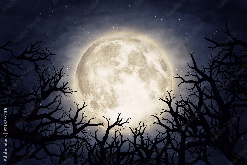 moon Stock Photo | Adobe Stock