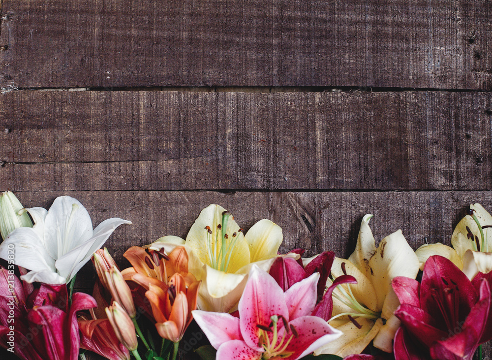 beautiful colorful lily flower on rustic wooden background. gorgeous ...