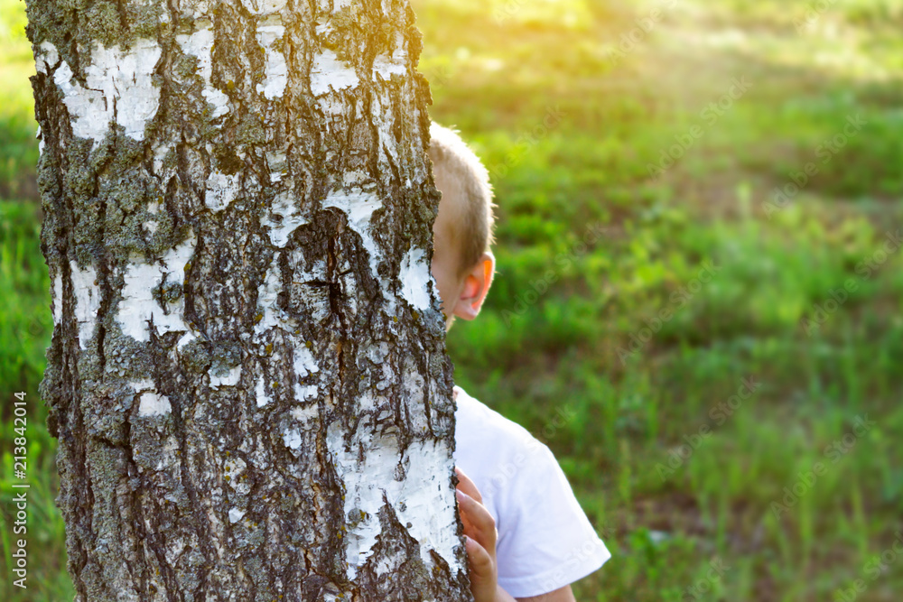 Child Hiding Behind Tree