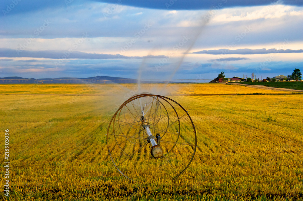 Wheel Line Irrigation system slowly moving across field, Nampa, Idaho ...