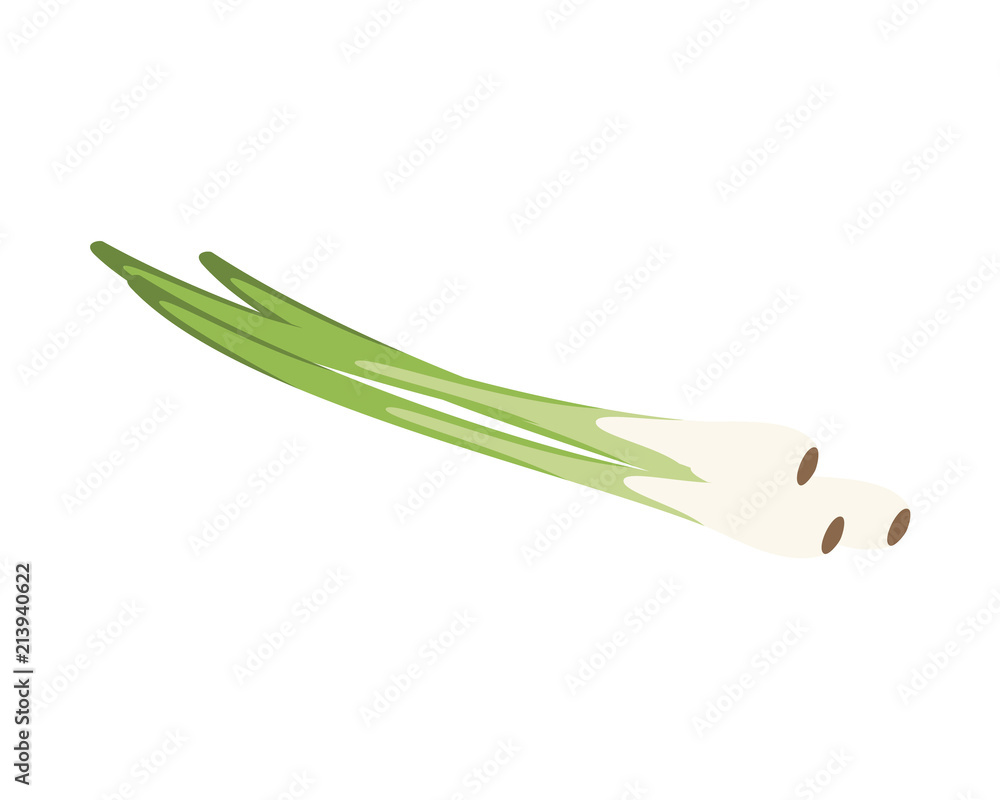 Vector chive illustration isolated in cartoon style. Herbs and Species ...