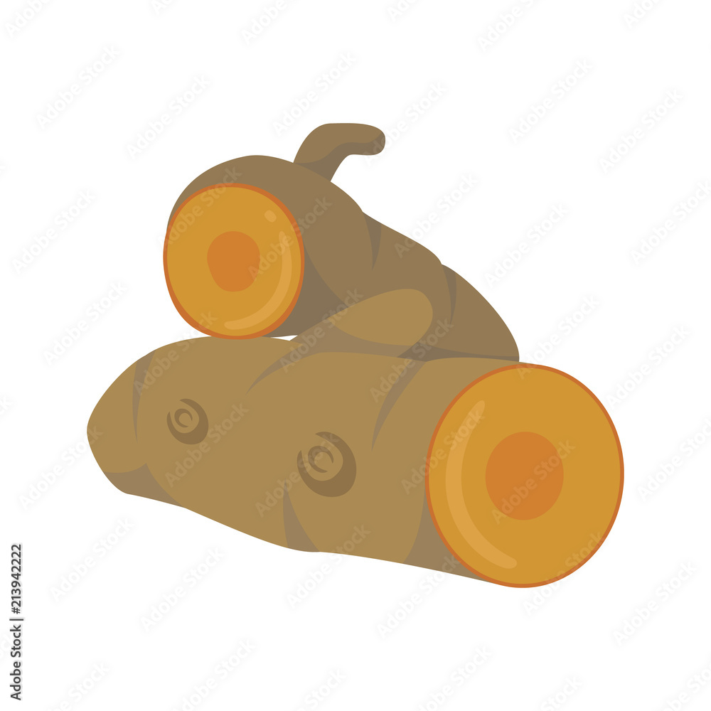Vector turmeric illustration isolated in cartoon style. Herbs and ...