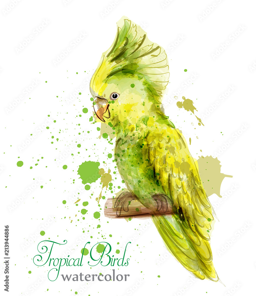 Tropic yellow parrot bird watercolor Vector. Paint splash colorful ...