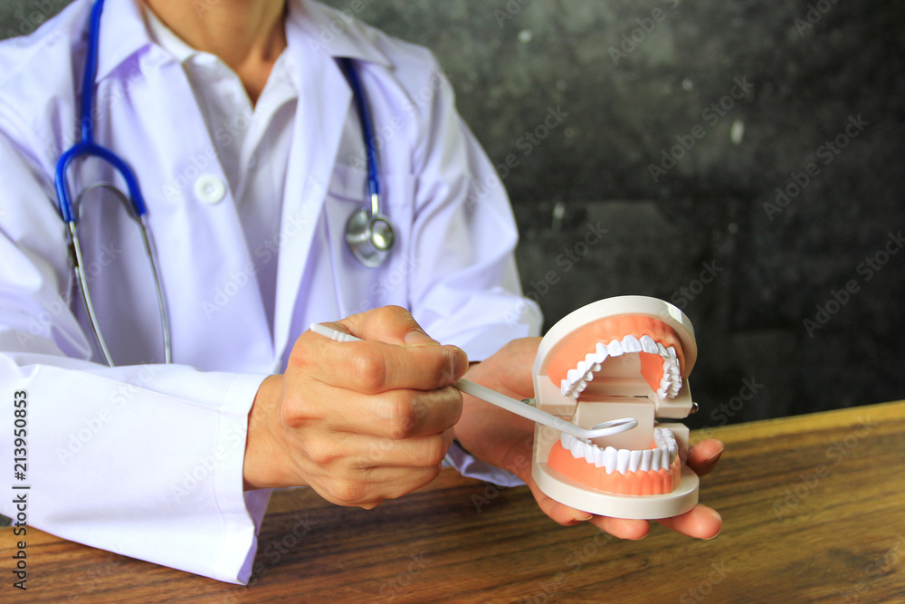 Dentist hand holding of jaw model of human teeth and dentistry tools ...
