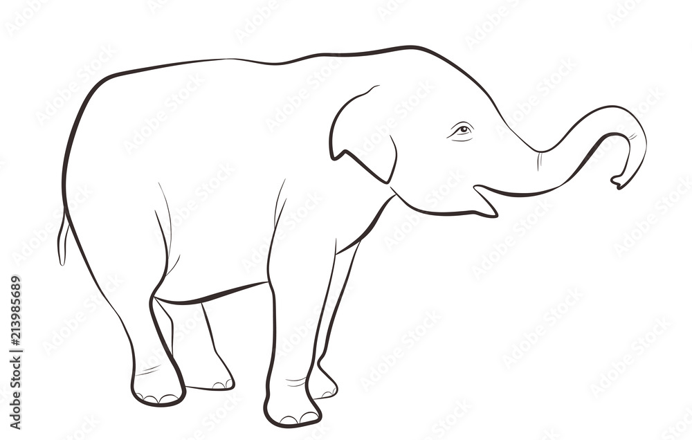 Indian elephant in outline style isolated on white background, coloring ...