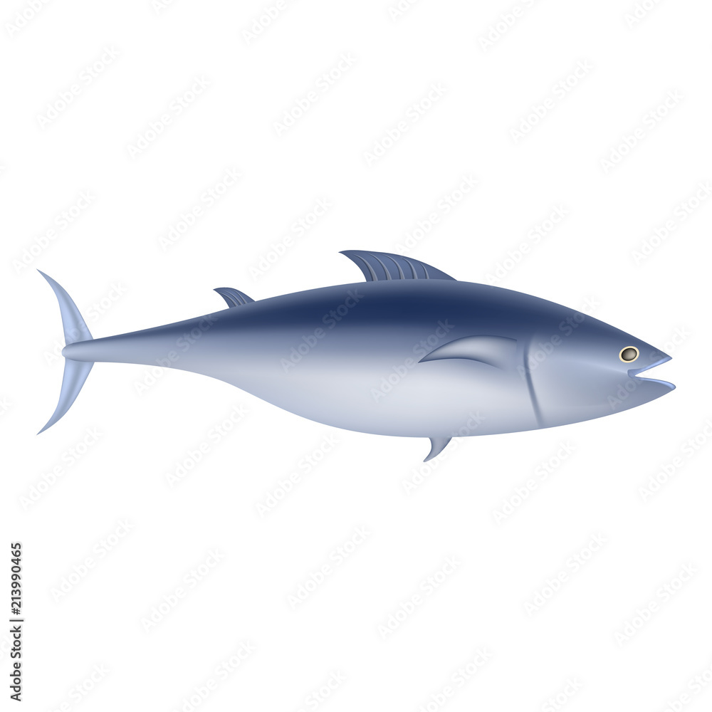 Tuna fish mockup. Realistic illustration of tuna fish vector mockup for ...