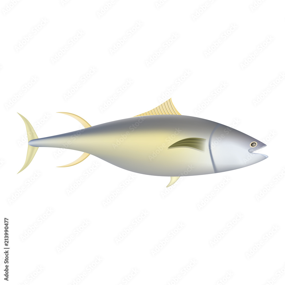 Yellowfin tuna fish mockup. Realistic illustration of yellowfin tuna ...