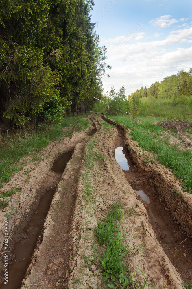 Dirt road with deep rut Stock Photo | Adobe Stock