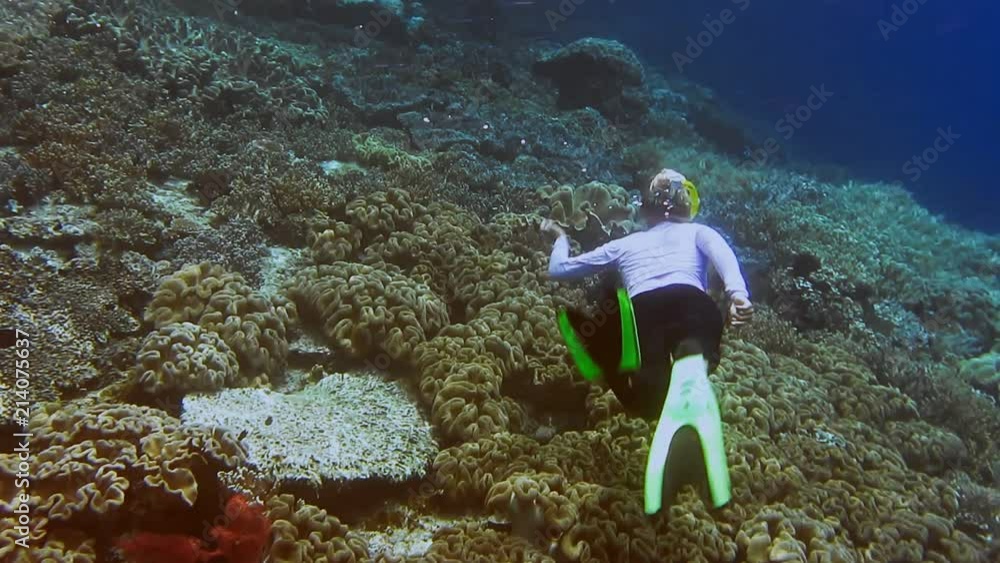 Vidéo Stock Female in swimwear snorkeling along the coral reef with ...