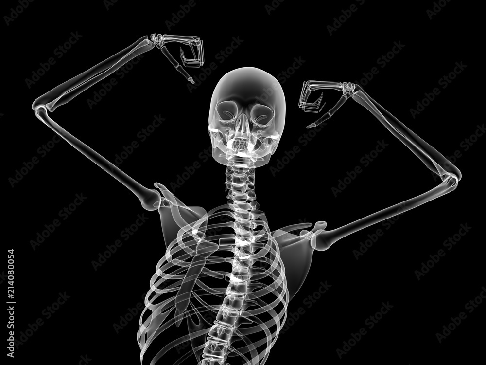 X RAY SKELETON 3D RENDER Stock Illustration | Adobe Stock