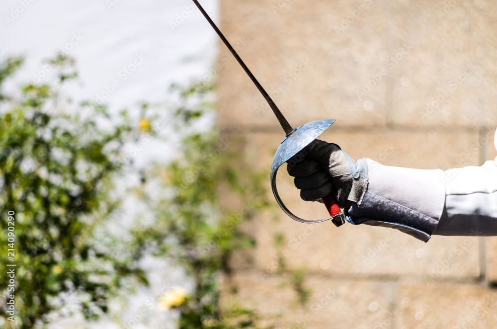 Gloved Hand Holding Sword