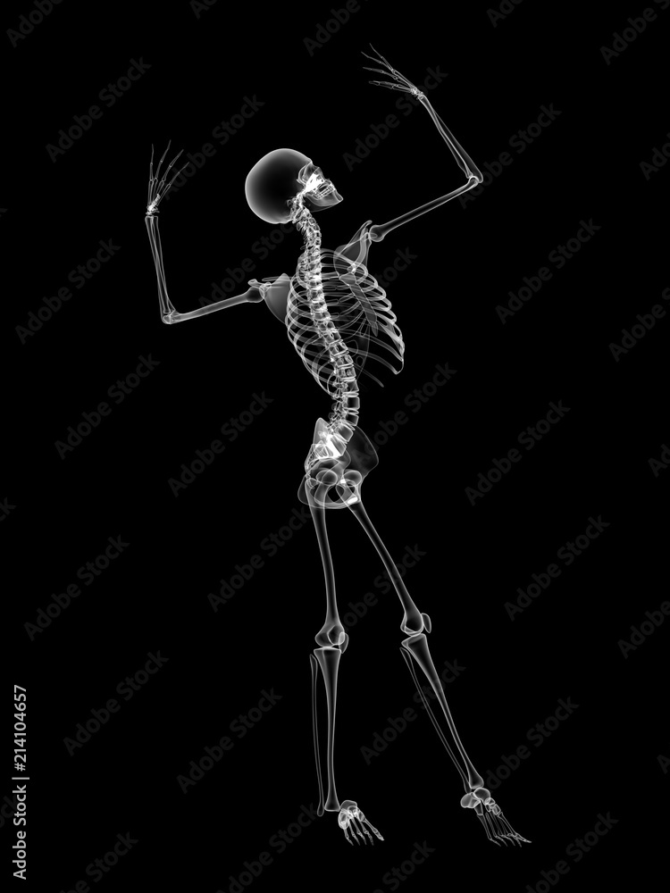 X RAY SKELETON 3D RENDER Stock Illustration | Adobe Stock