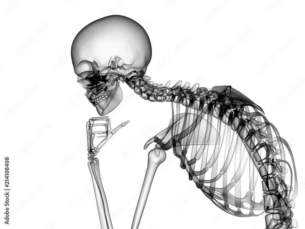X RAY SKELETON 3D RENDER Stock Illustration | Adobe Stock