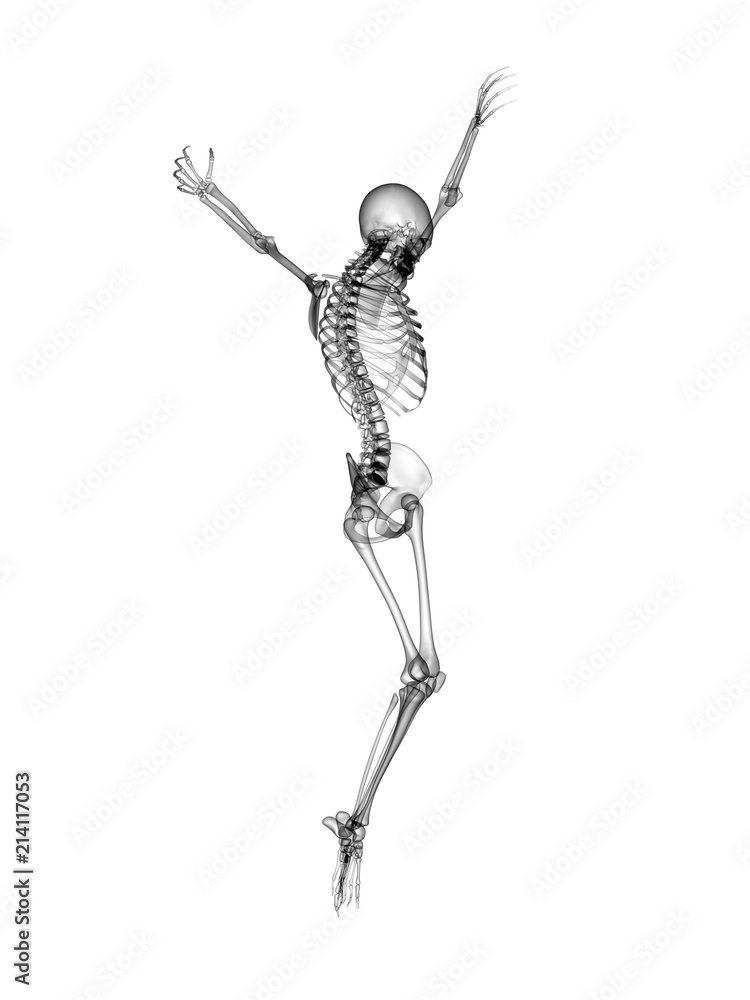 X RAY Skeleton 3D Render Stock Illustration | Adobe Stock