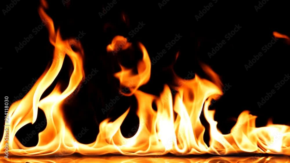 Vidéo Stock Fire Flames Igniting And Burning - Slow Motion. A line of ...