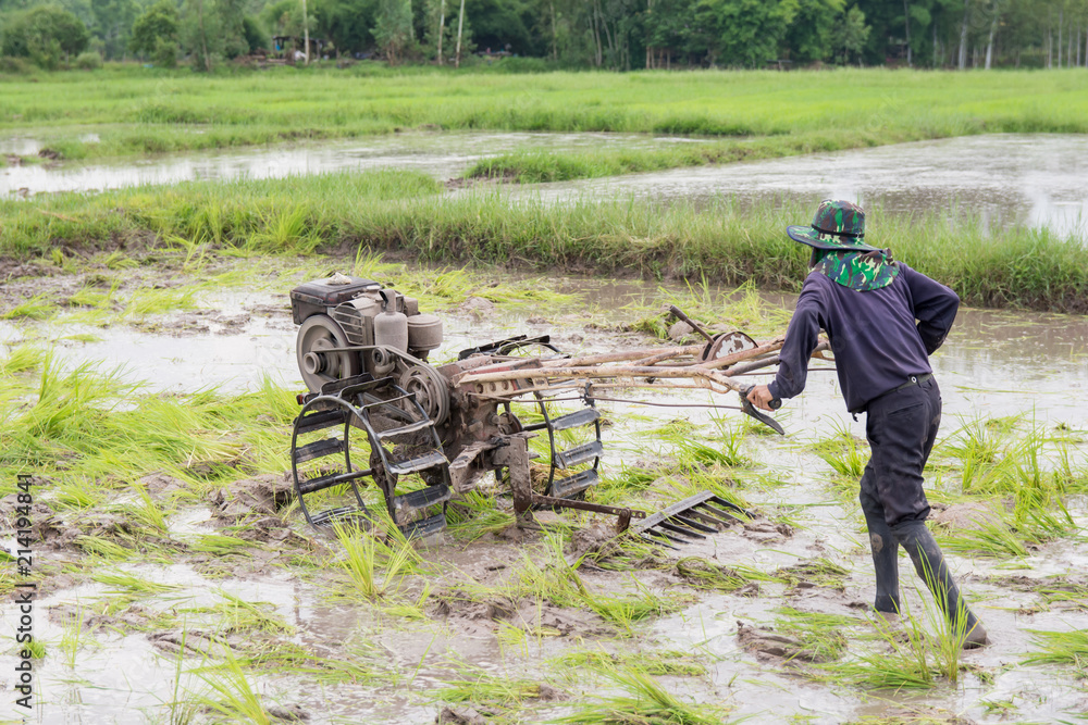 plows machine - Farmer using walking tractor plowing in rice field to ...
