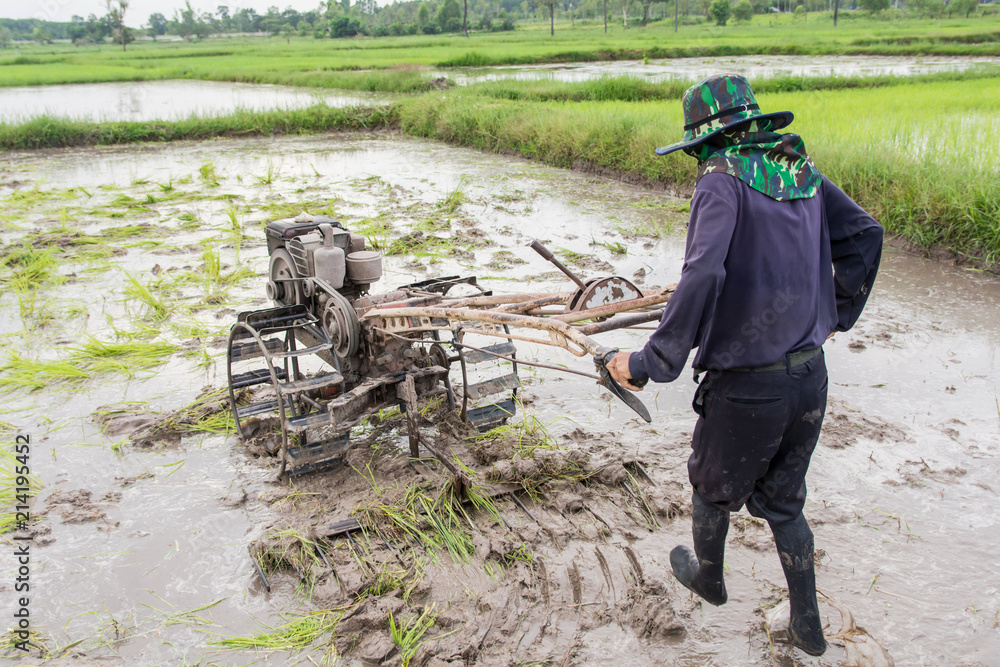 plows machine - Farmer using walking tractor plowing in rice field to ...