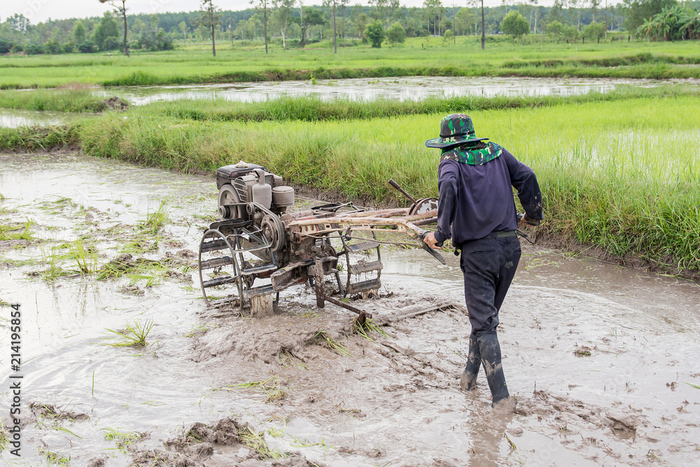plows machine - Farmer using walking tractor plowing in rice field to ...