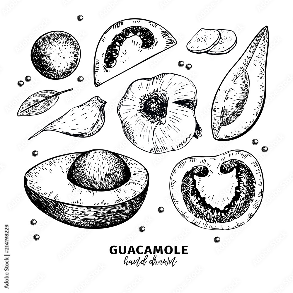 Hand drawn avocado, tomato and garlic. Guacamole dip ingredients ...