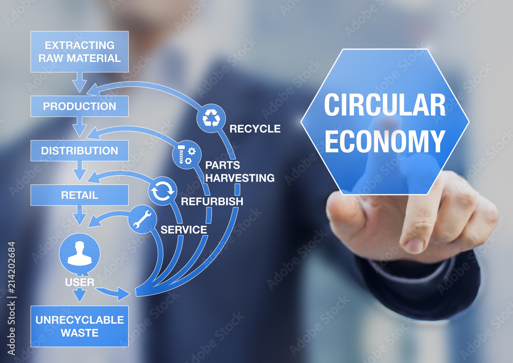 Circular economy business model for sustainable development system ...