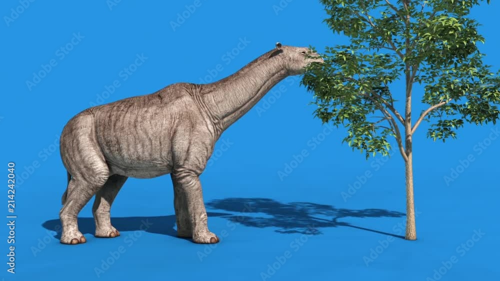 Paraceratherium Dinosaurs Eats Blue Screen Side Loop 3D Renderings ...
