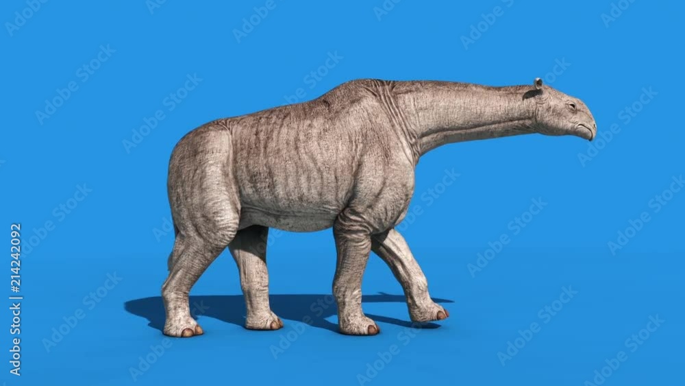 Paraceratherium Dinosaurs Runcycle Side Blue Screen Loop 3D Renderings ...