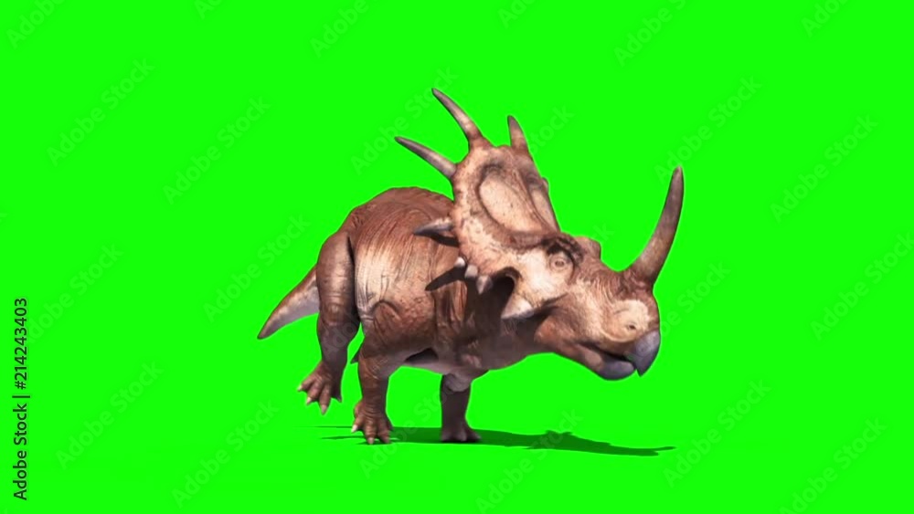 Styracosaurus Triceratops Run Perspective Static Loop Dinosaurs ...
