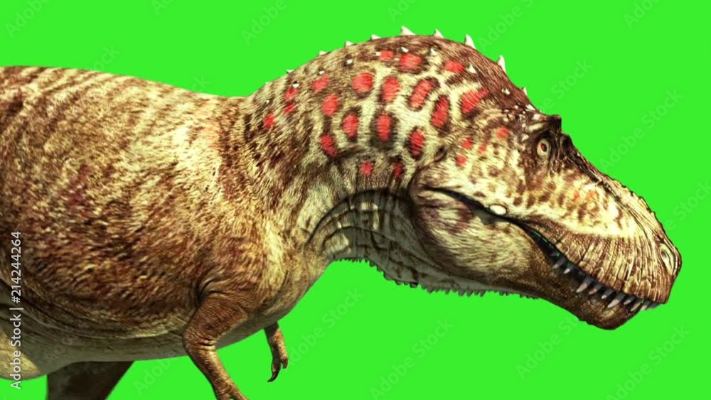 T Rex Tyrannosaur Feathered Run Close up Loop Jurassic World Dinosaurs ...