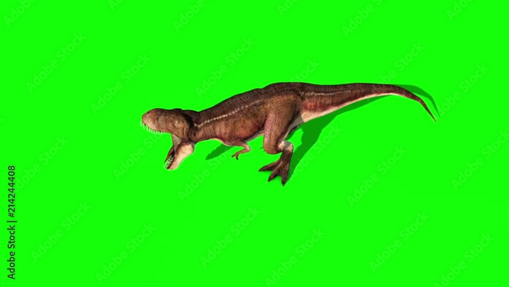 Tyrannosaurus T-Rex Run Front Green Screen 3D Rendering Animation Stock ...