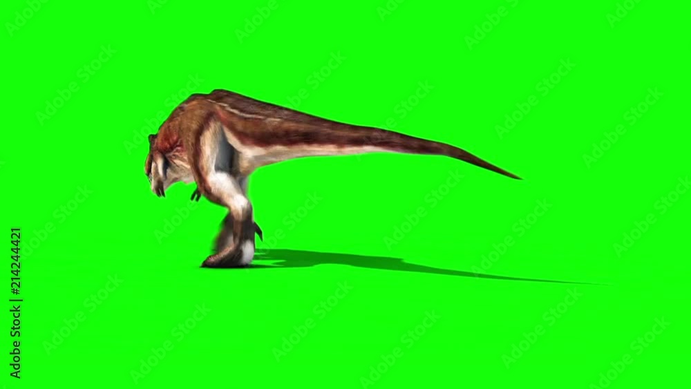 Tyrannosaurus T-Rex Run Green Screen 3D Rendering Animation 素材庫影片 ...