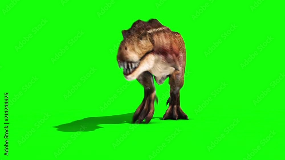 Tyrannosaurus T-Rex Runcycle Front Green Screen 3D Rendering Animation ...