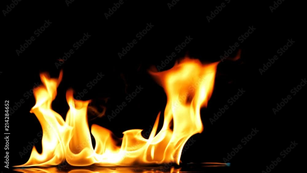 Fire Flames Igniting And Burning - Slow Motion. A line of real flames ...