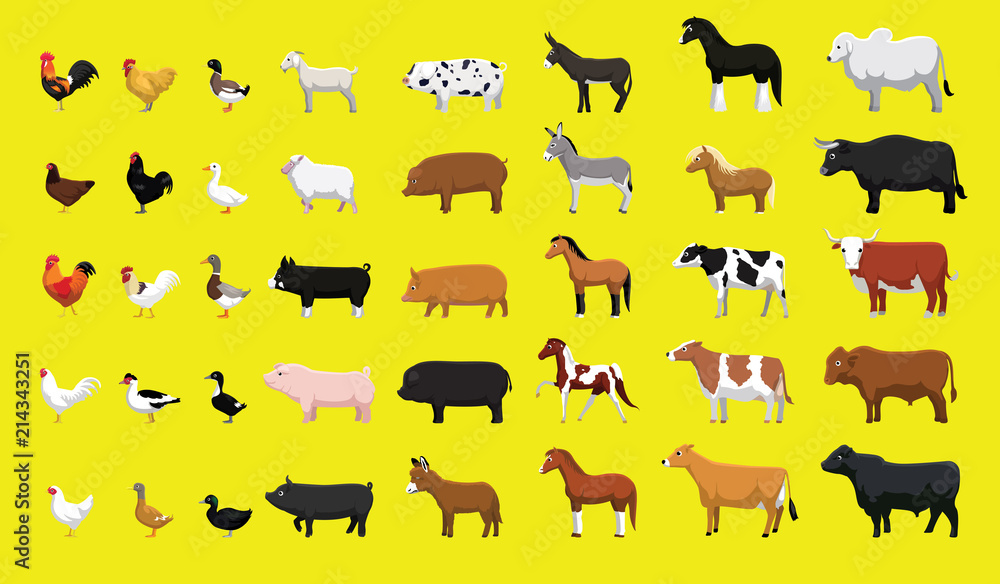 Various Farm Animals Side View Cartoon Vector Illustration Set Stock ...