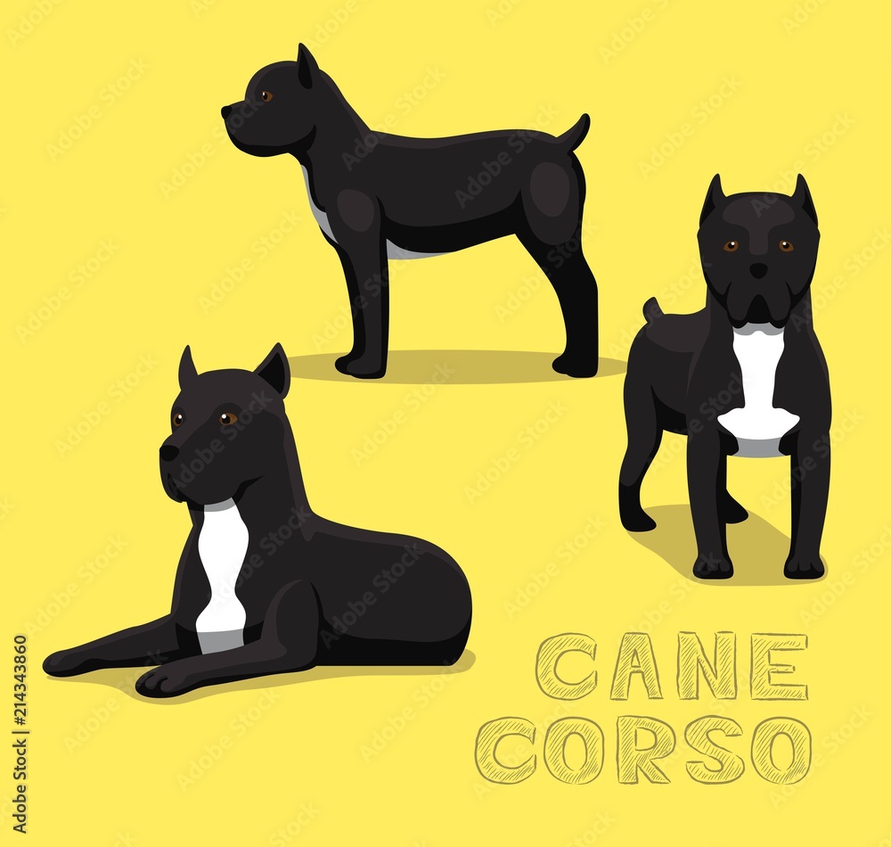 Dog Cane Corso Cartoon Vector Illustration Stock Vector | Adobe Stock