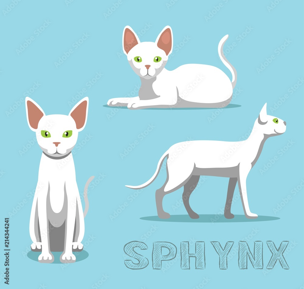 Cat Sphynx Cat Cartoon Vector Illustration Stock Vector | Adobe Stock