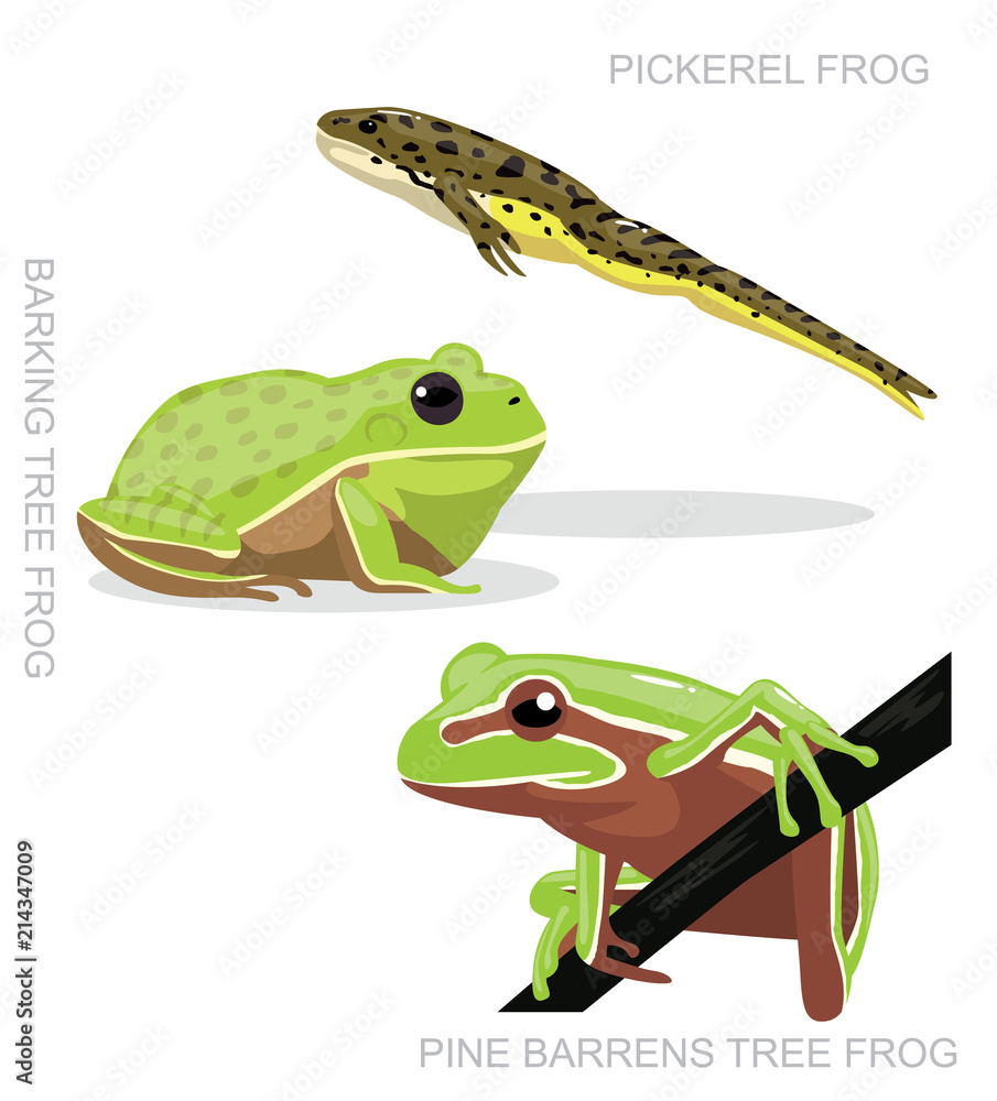Pickerel Frog Set Cartoon Vector Illustration Stock Vector | Adobe Stock