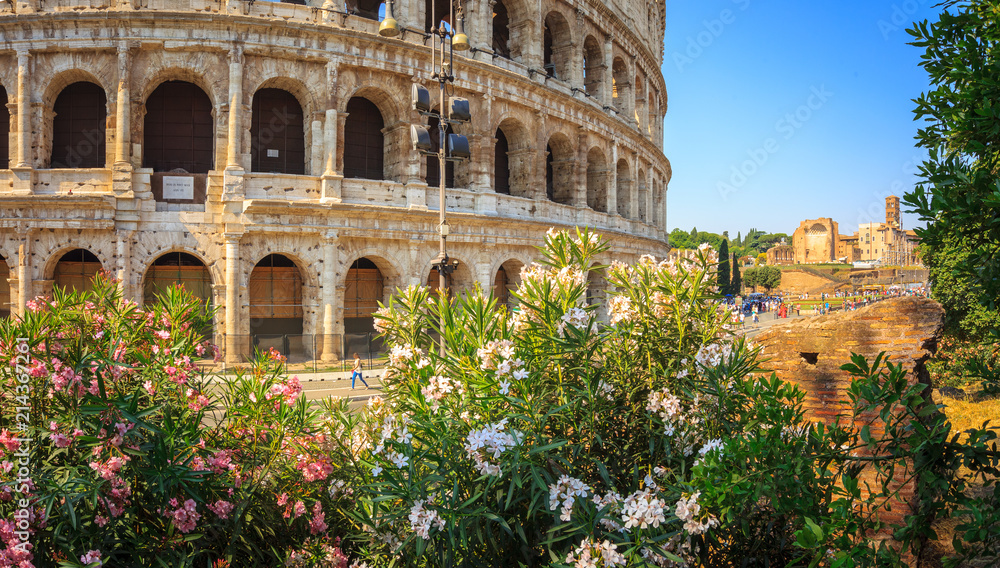 Roman Colosseum Gladiator Fights