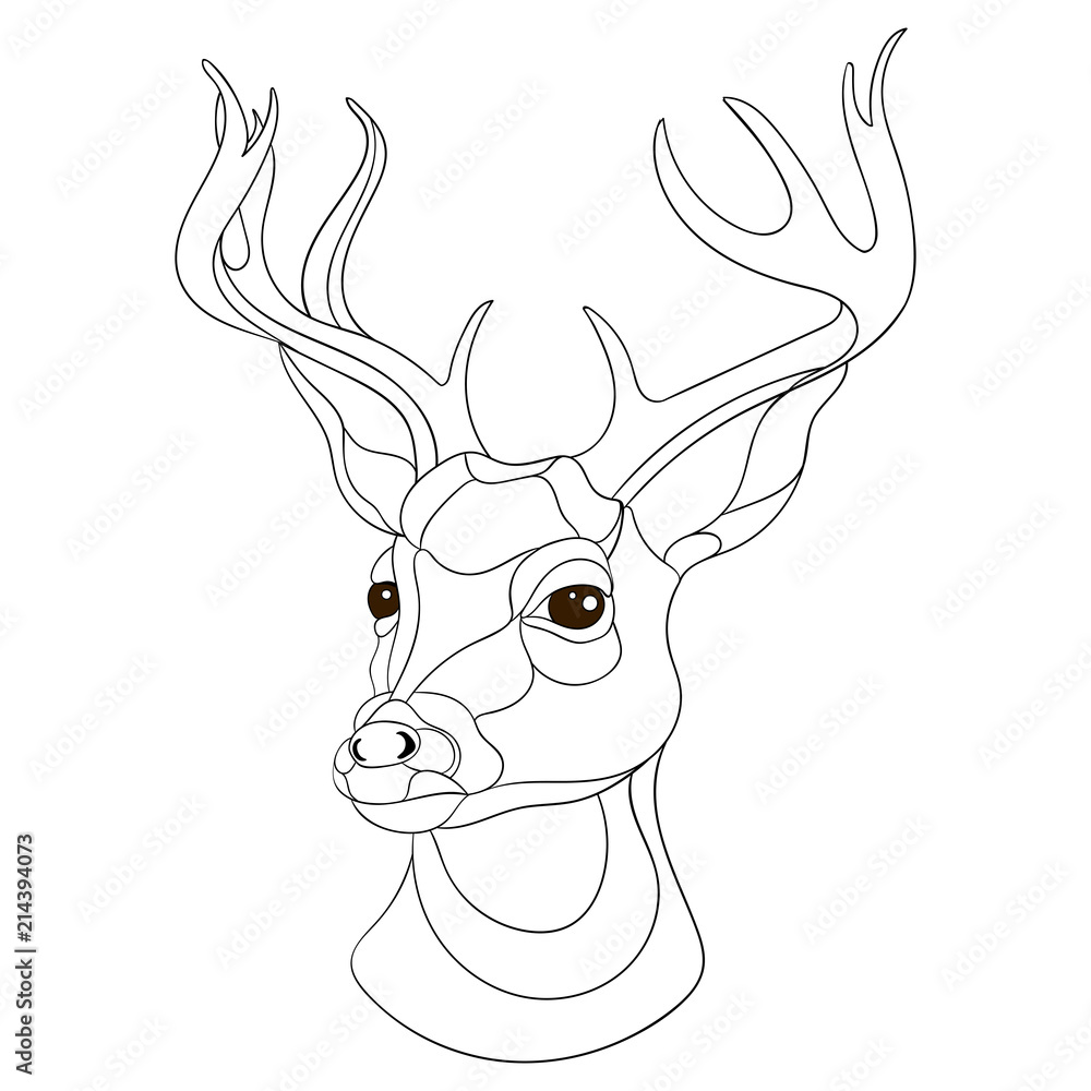 Traditional Deer Drawing