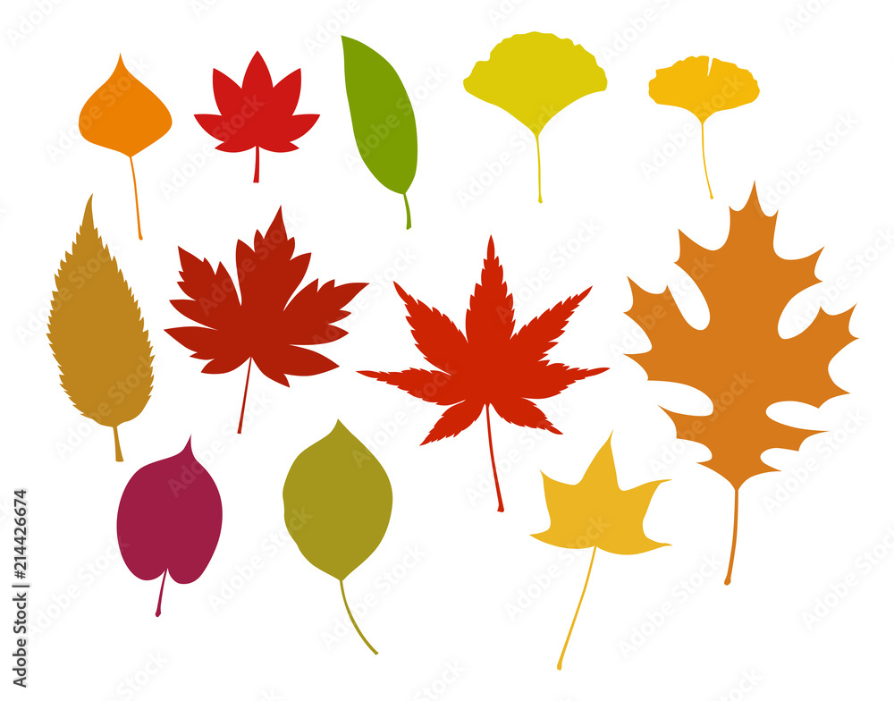 Autumn leaves illustration | set Stock Vector | Adobe Stock