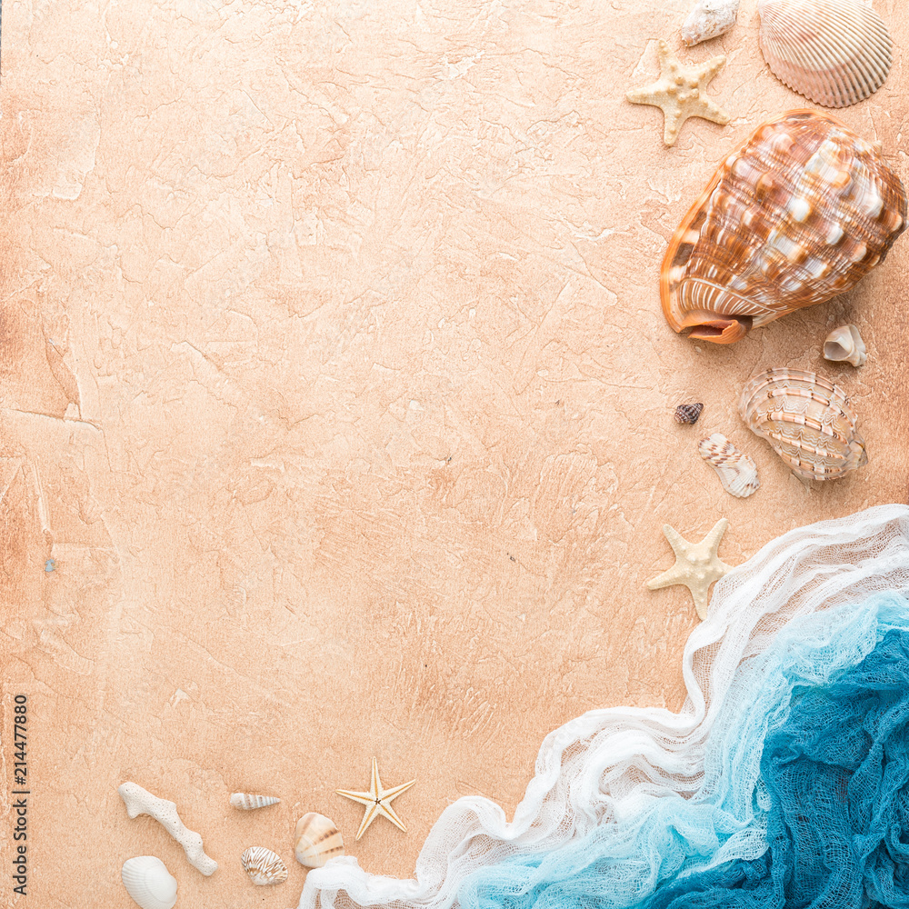 Sea shells on sand background. Stock Photo | Adobe Stock