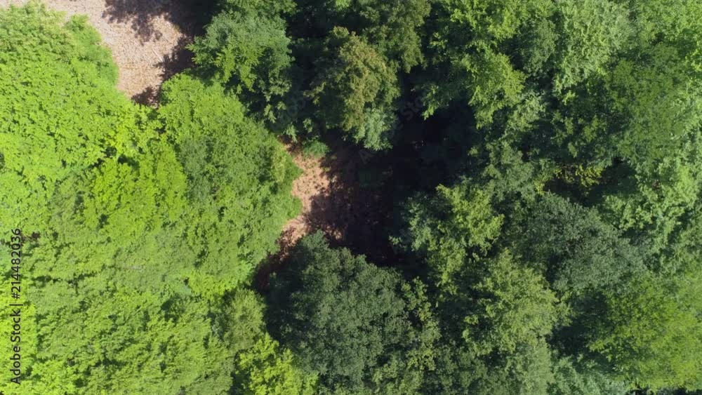 Spinning drone shot flying down into opening in deciduous forest ...