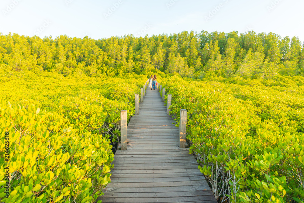 Tung Prong Thong or Golden mangrove field landmarks tourist attraction ...