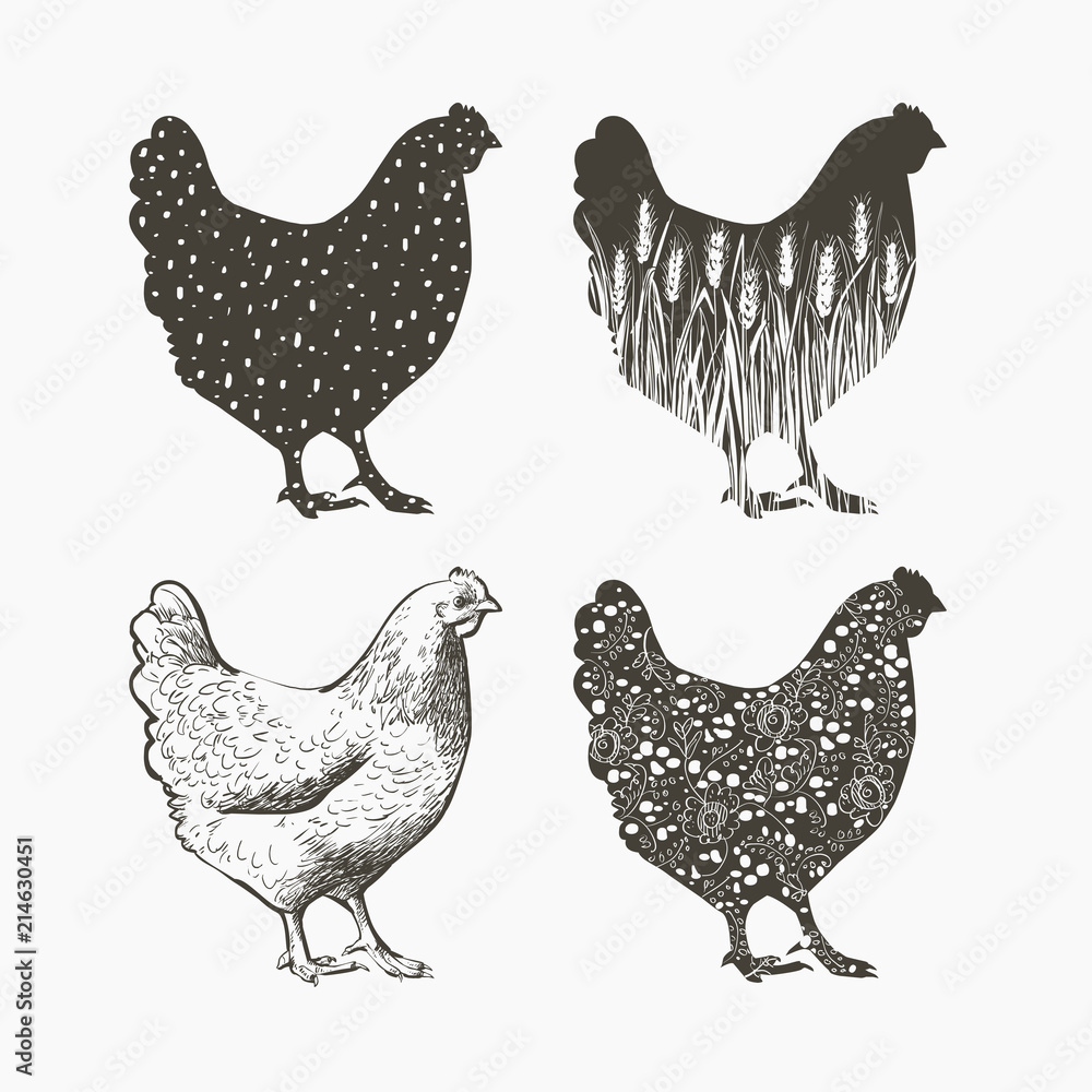 Vintage Chicken Vector