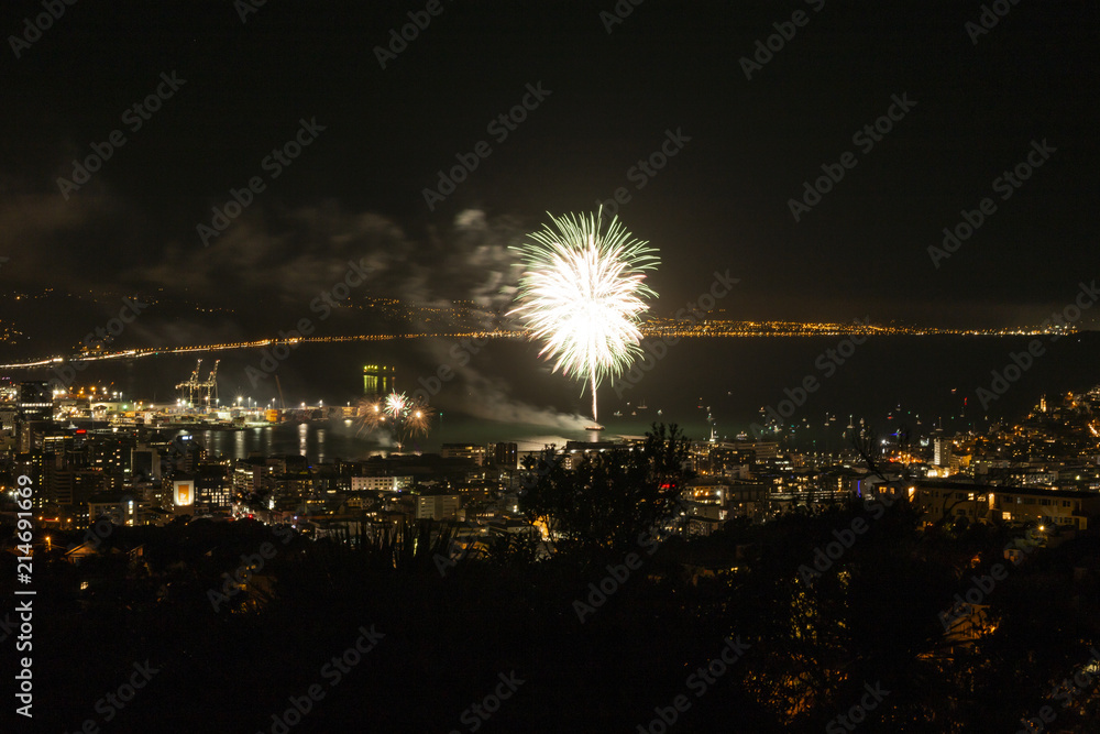 Matariki fireworks in Wellington, New Zealand Stock Photo | Adobe Stock