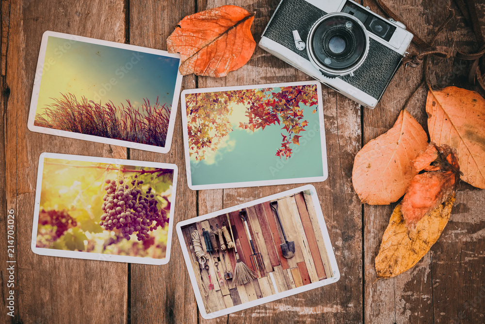 Retro camera and photo of memorie and nostalgia in fall. Autumn ...