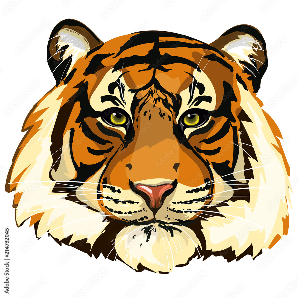 Tiger Face Clip Art Color