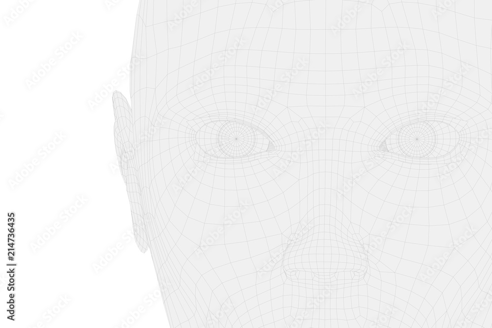 Human head in wireframe with front view on white background. 3D ...